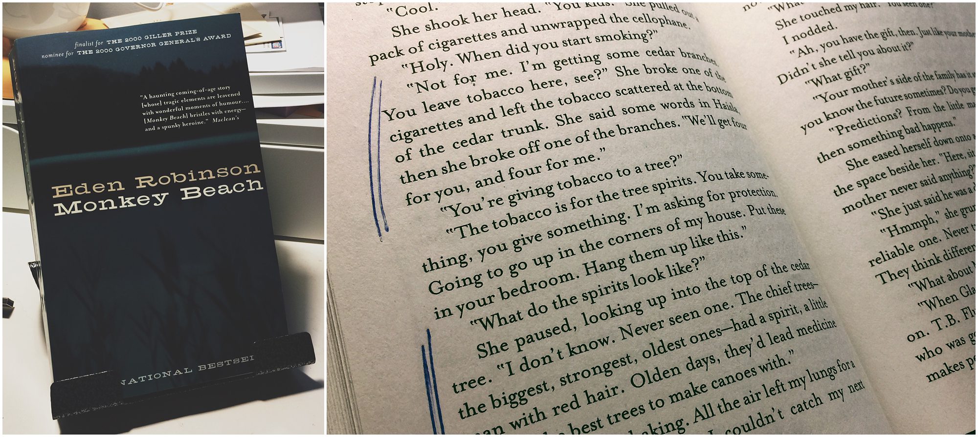 Monkey Beach by Eden Robinson » Tenille Campbell // writings & ramblings